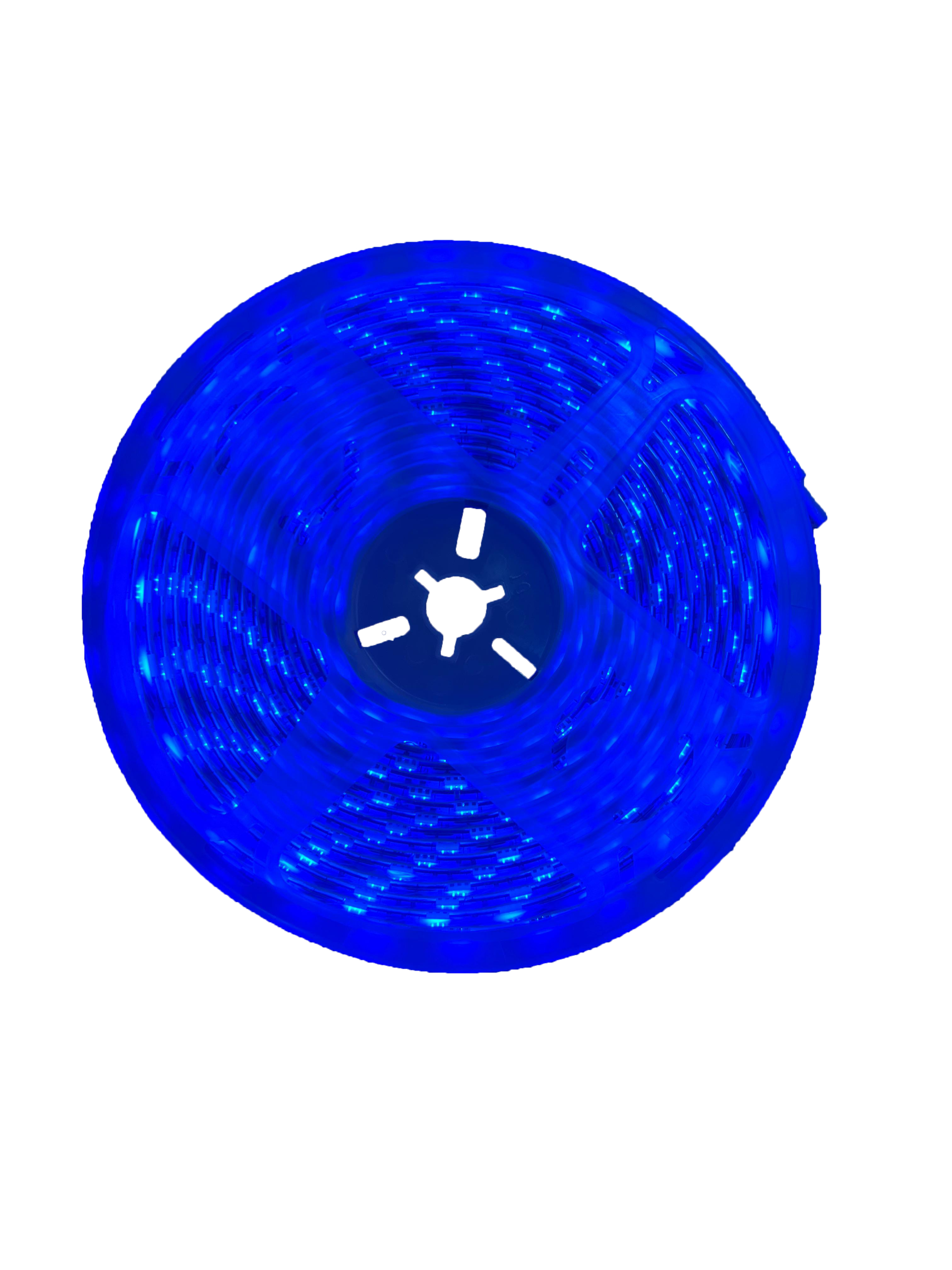 Tira Led Para exterior Azul – ScaPaz Iluminación